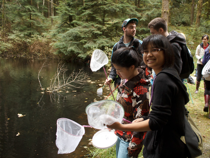 TEACHING | BRODIE BUG LAB