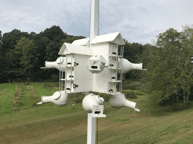 Gourd nest box | BRODIE BUG LAB